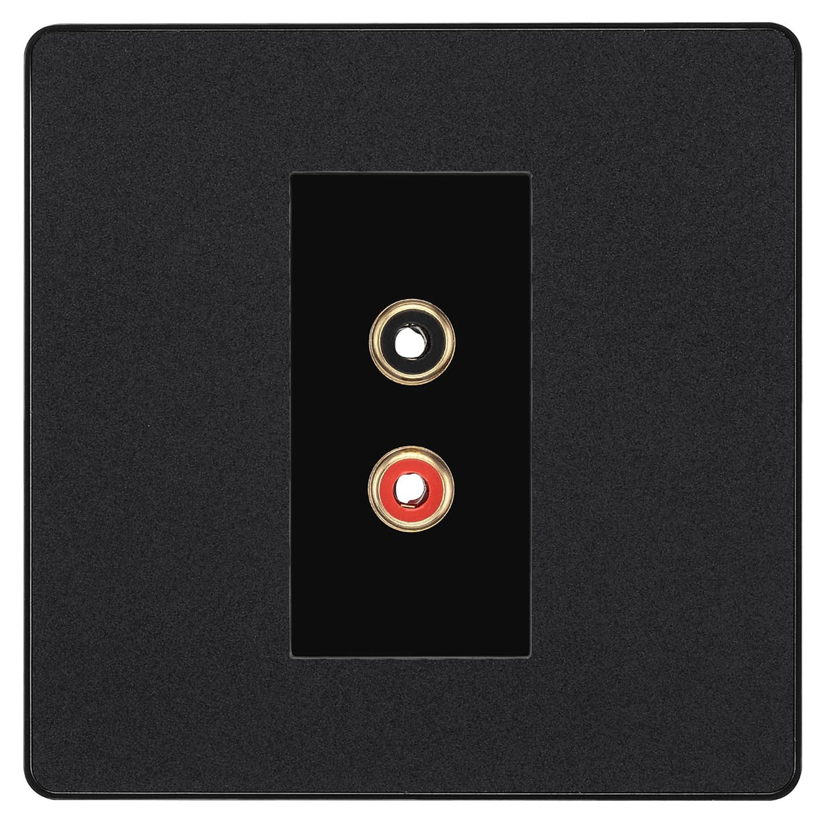 BG Evolve Matt Black Euro Module RCA X 2 Outlet PCDMBRCA2B – The ...