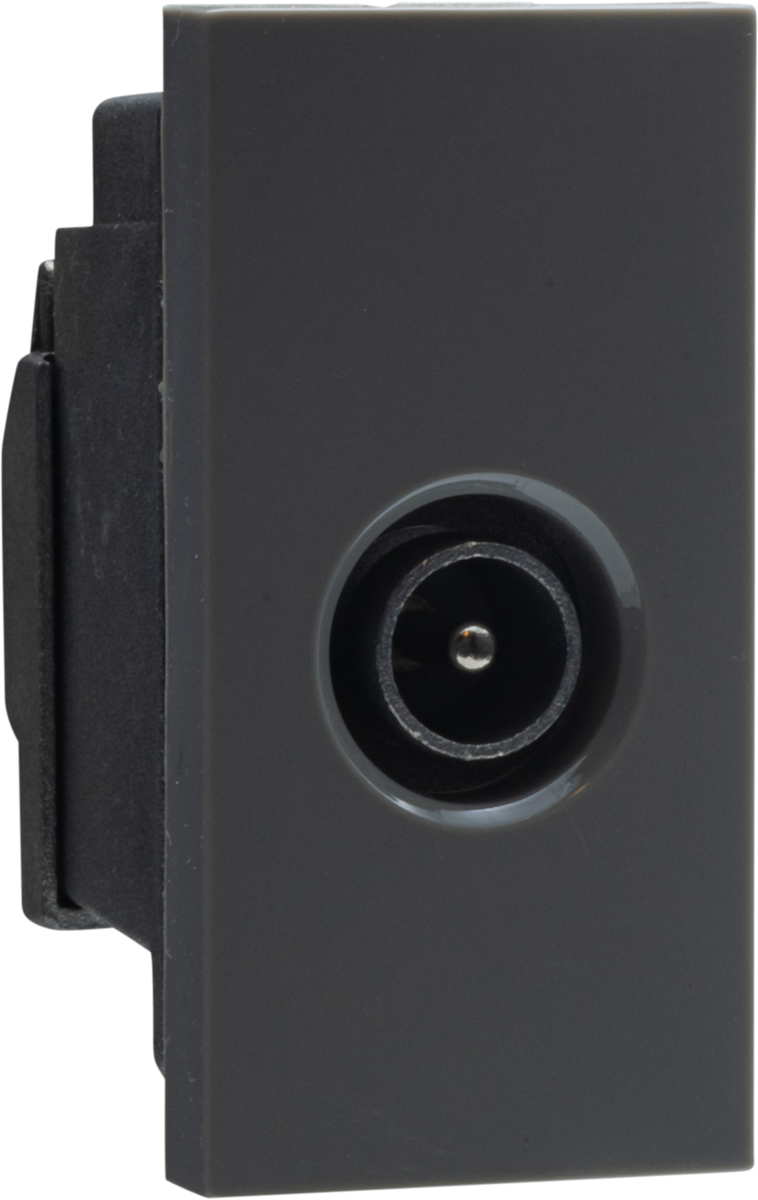 BG EMTVMG Grey 1 Module Euro Module IEC Screened Coaxial Outlet – The ...